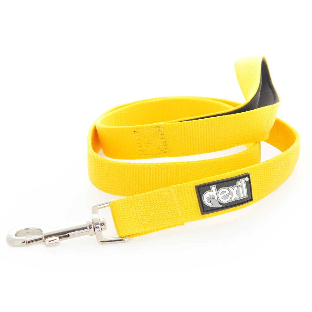 Sunburst Yellow – Friendly Dog Collars