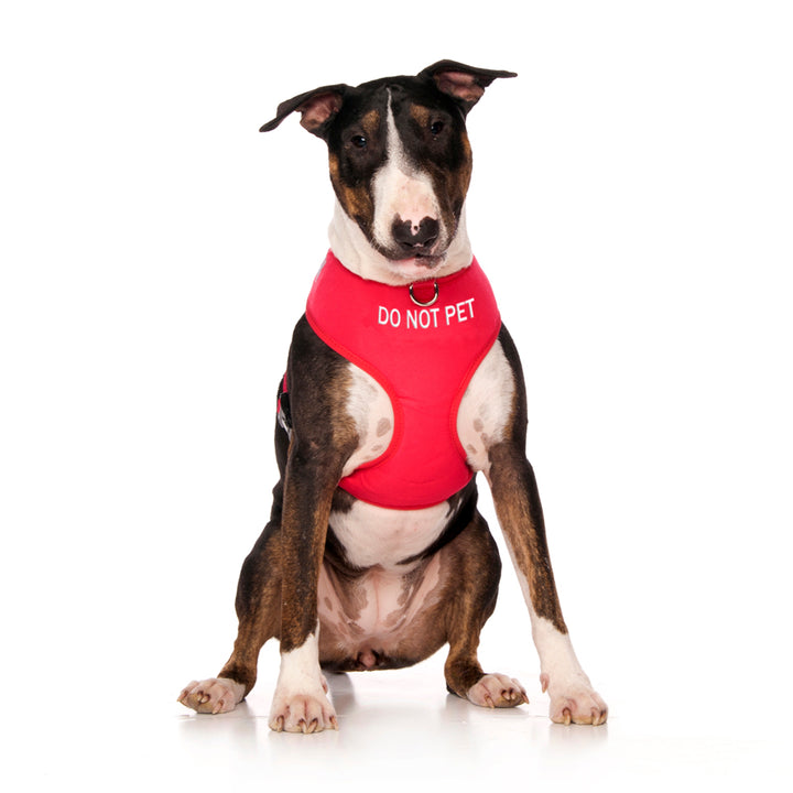 DO NOT PET – Friendly Dog Collars