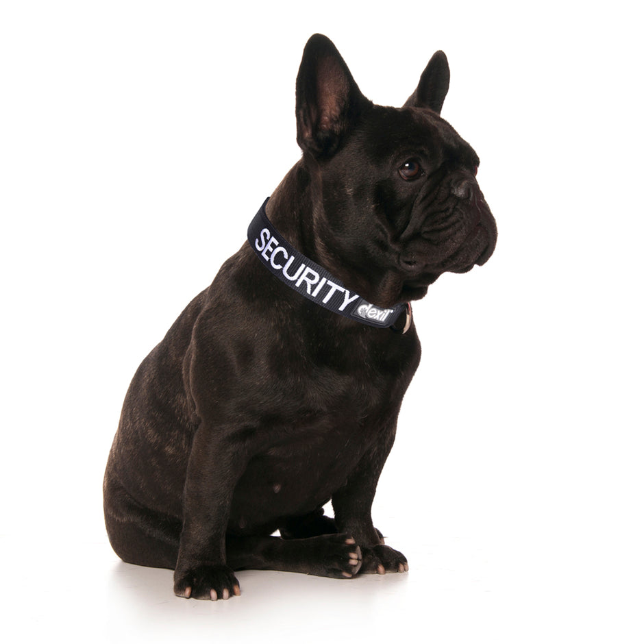 SECURITY – Friendly Dog Collars