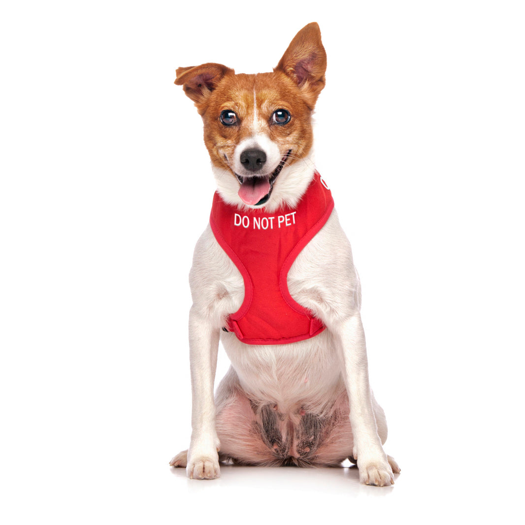 DO NOT PET – Friendly Dog Collars